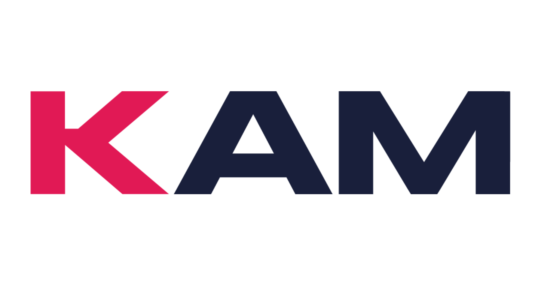 KAM Insight: Navigating Change, Embracing Innovation, and Looking Ahead ...